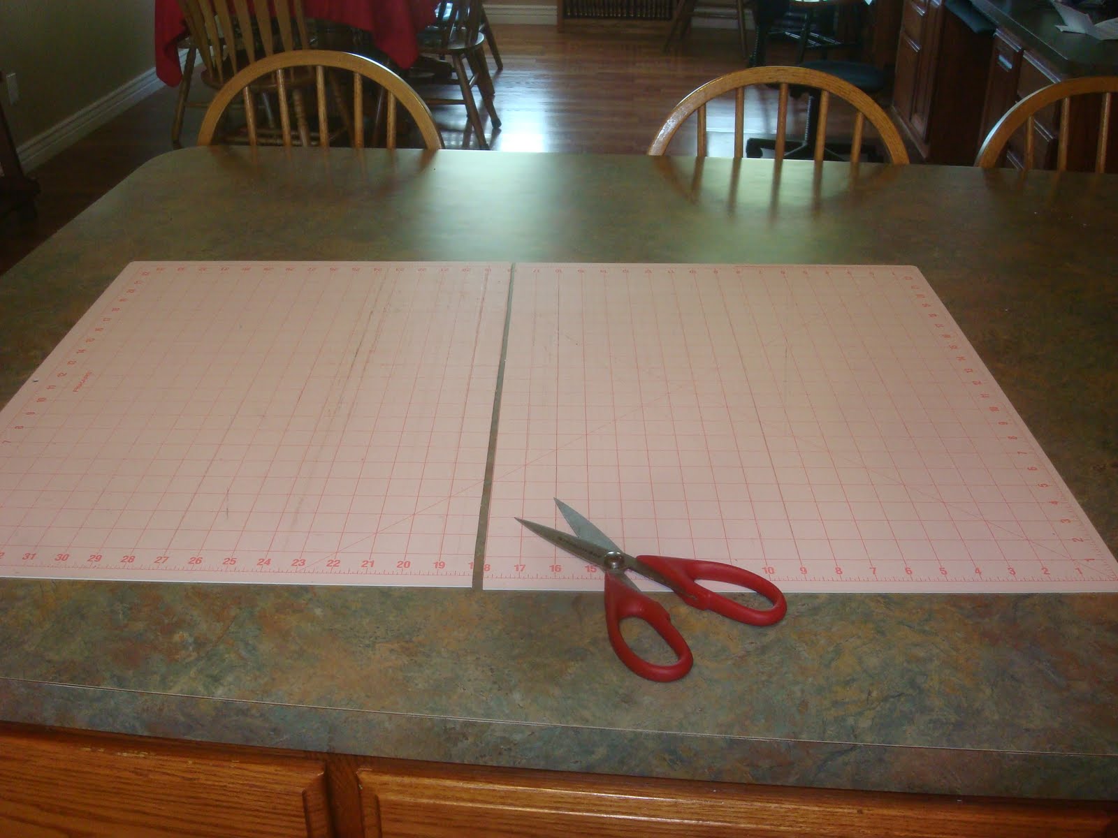 Because I say sew ;) : Tote for Cutting Mat