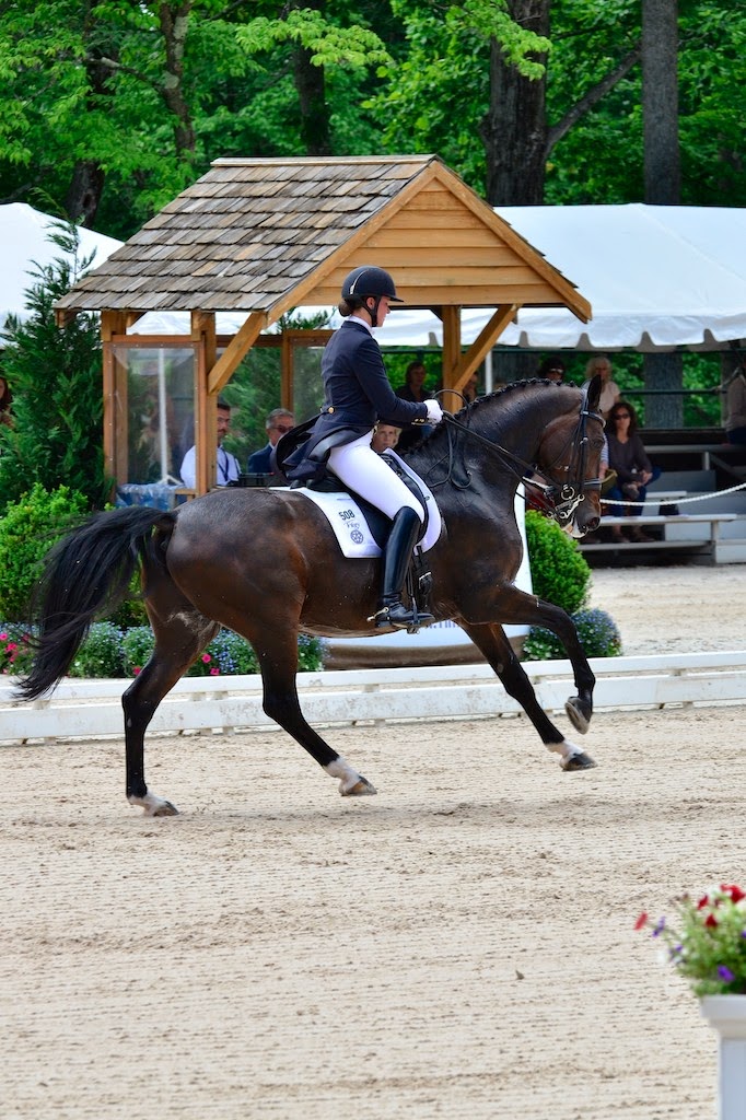 The Dressage Connection: Eight Is Enough (for a Trip to Europe)