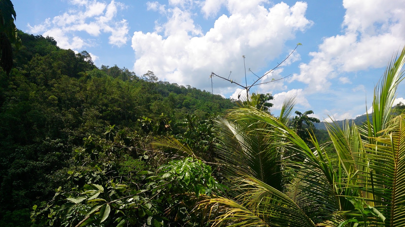 可盈 ♪ Hσ YιnG ' s: ️ My Howetown --- SABAH