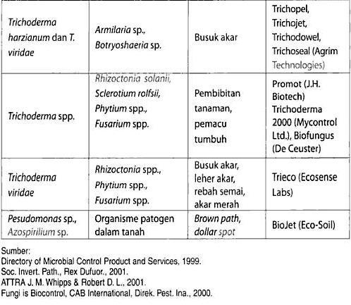 LINGKUNGAN PERTANIAN: Biopestisida Sebagai Alternatif Pestisida Masa Depan