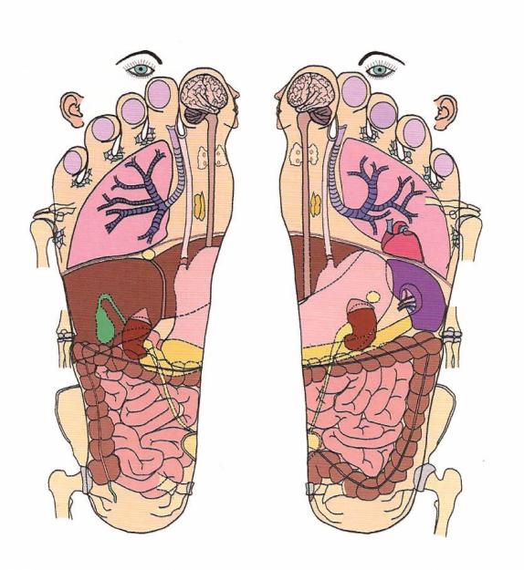 Ipomea Espai: Taller Reflexología Podal