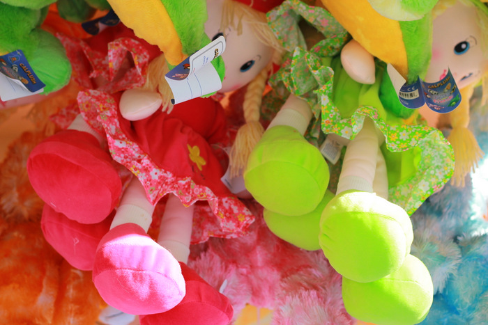 Photo Journal: County Fair | A•Mused