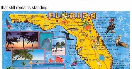 all about florida for kids | Childhood Education
