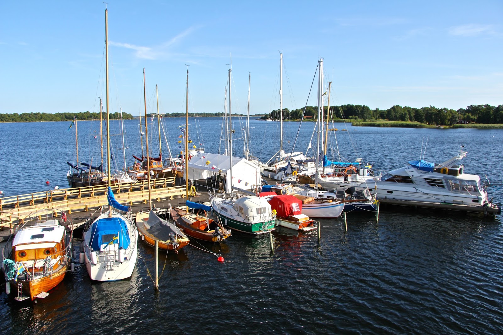 Grisslan: Sommarbilder från varvet