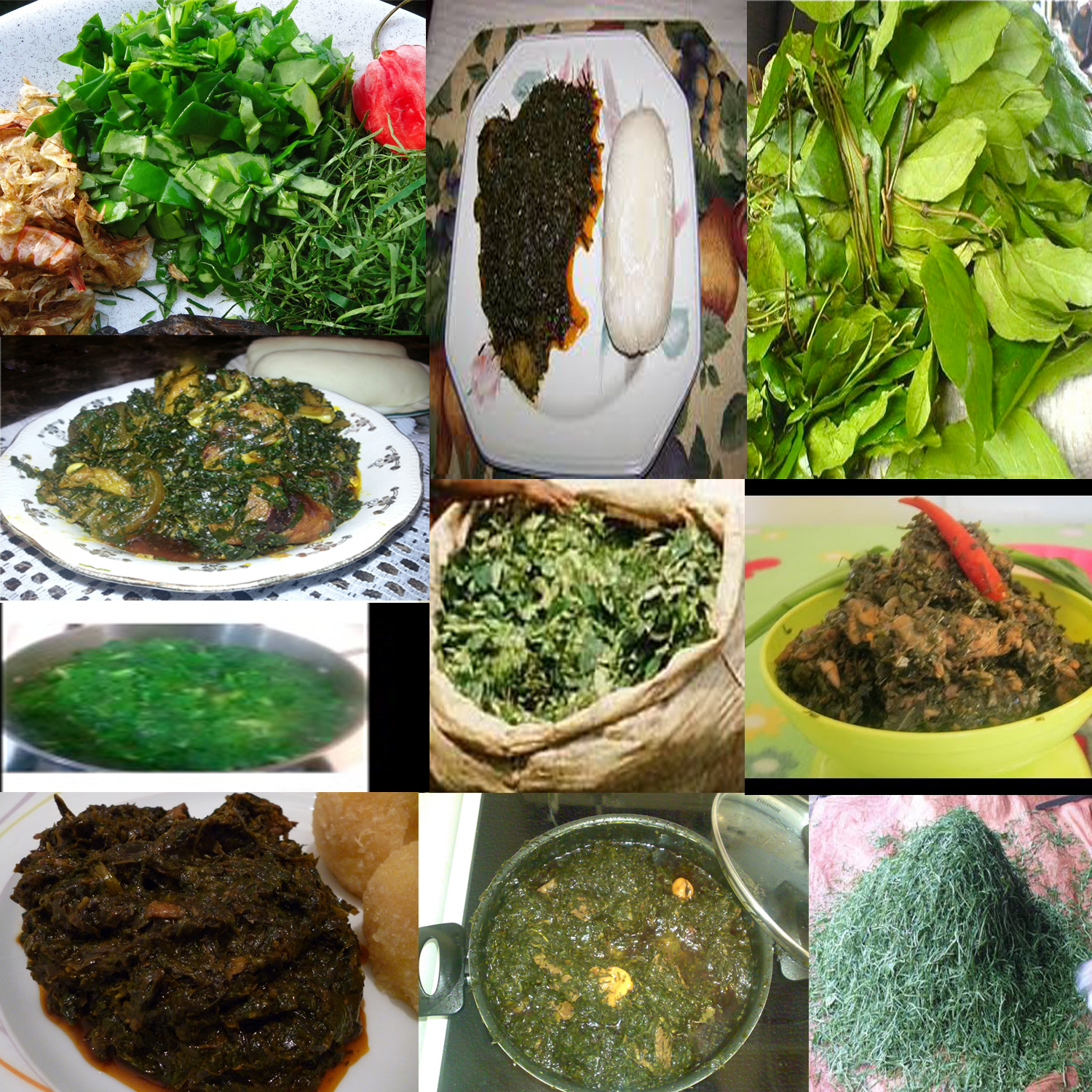 ALL AFRICAN DISHES: CAMEROONIANS RECIPES (ERU AND FUFU)