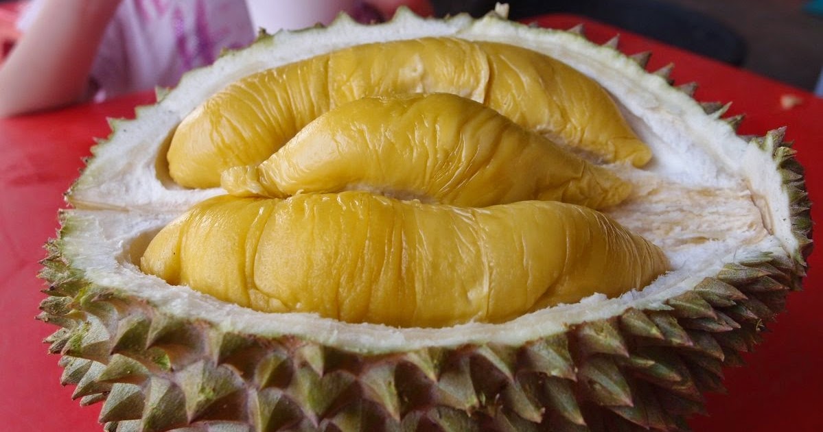 Jenis-Jenis Buah Durian Terbaik dan Genjah