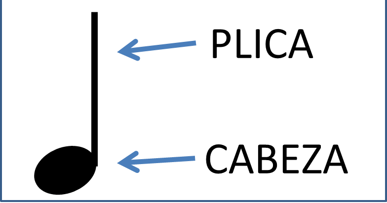 12º día de clase: Plicas musicales y corchetes. ¿Hacia qué lado van ...
