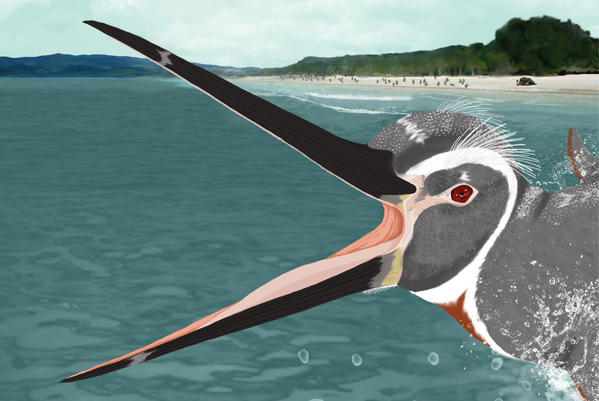 Birding Bros. Blog: 10 Prehistoric Birds You Didn’t Know Existed (But ...