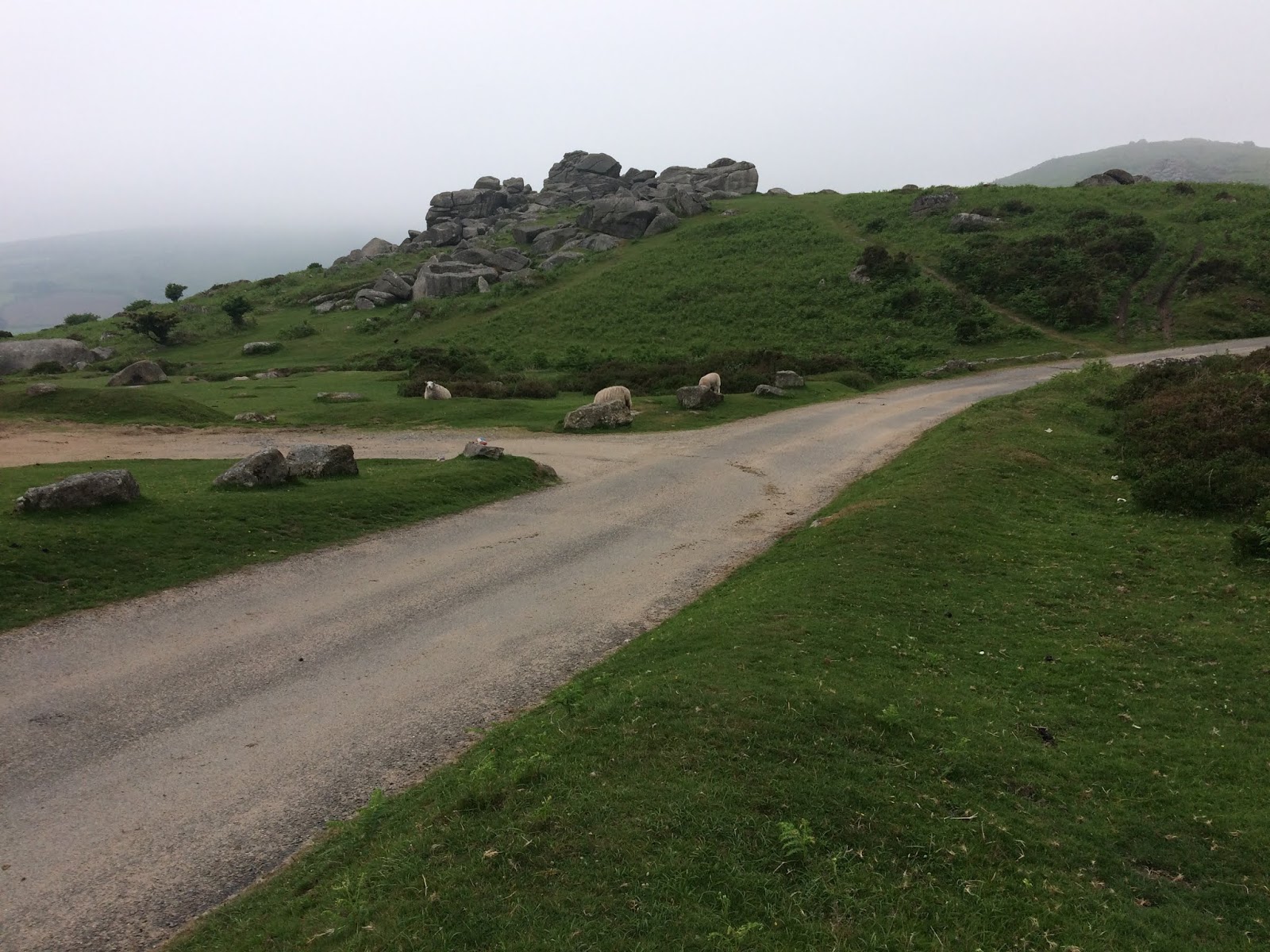 Max Piper - Tor Bagger: Dartmoor: Bonehill Down and clearing up some ...