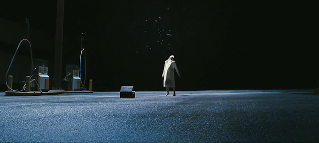 The Cinematic Life: Review: The Possession (2012)