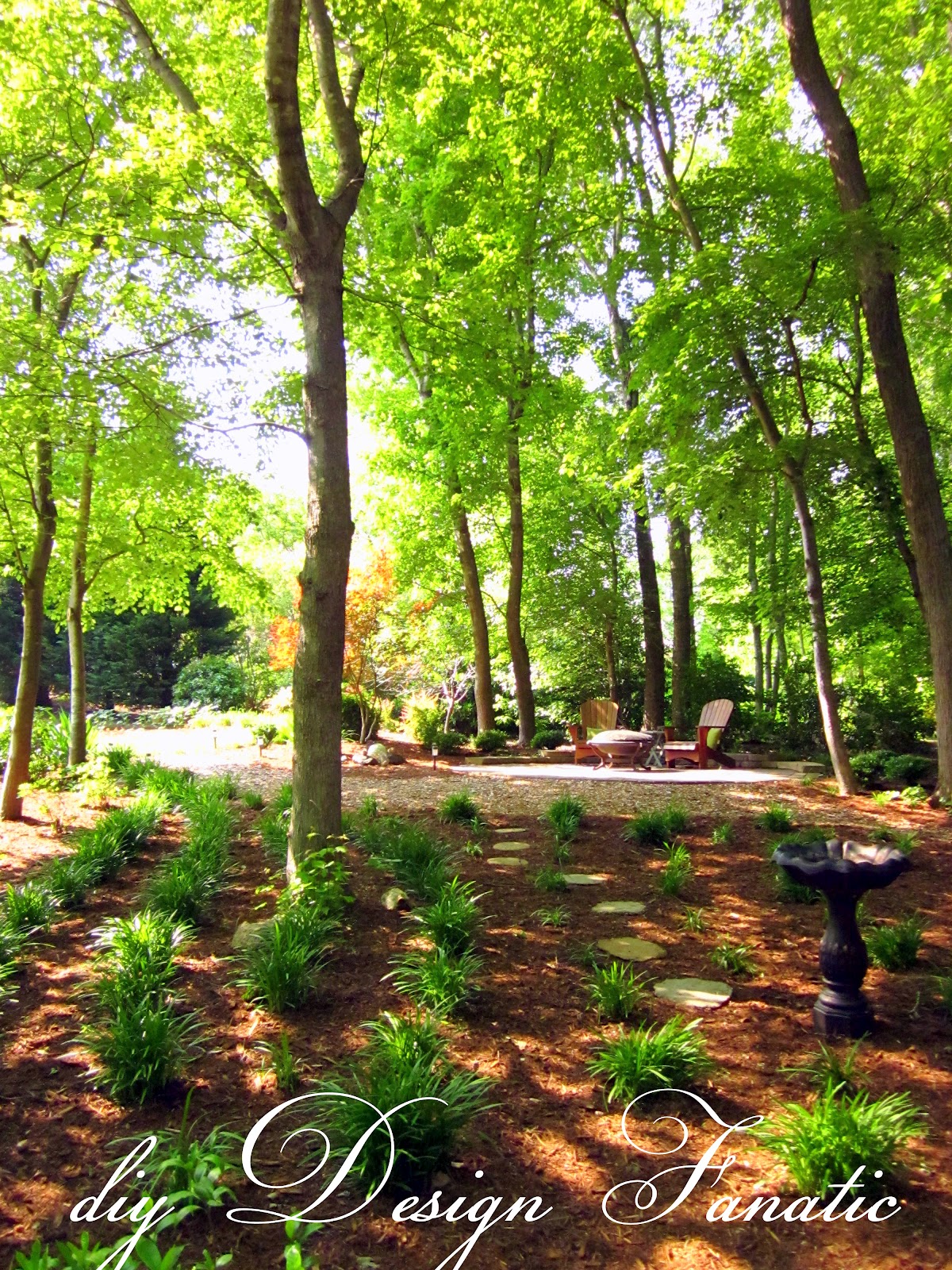 The above photos were taken at the end of April last year.