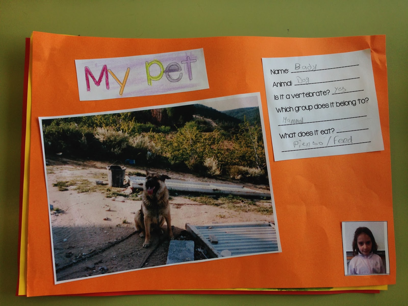 SCIENCE IN THE SCHOOL: October 2015