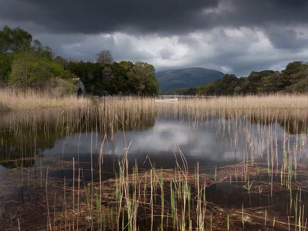 muckross-lake-ireland_58929_990x742