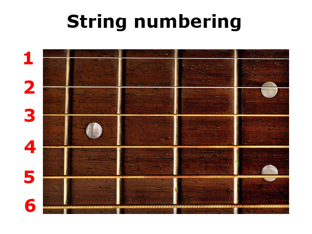 Guitar Bender: Strings and Frets