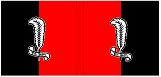 Don't Throw a 1: Edward Prince of Wales, Banner and Flag 1471 WotR