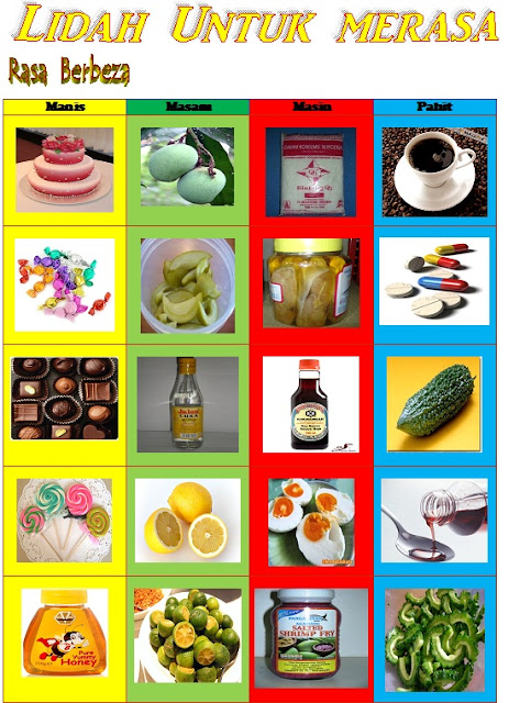 SAINS TAHUN 1: Deria rasa