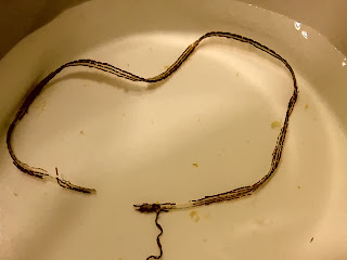 Galaxy Parasite drug