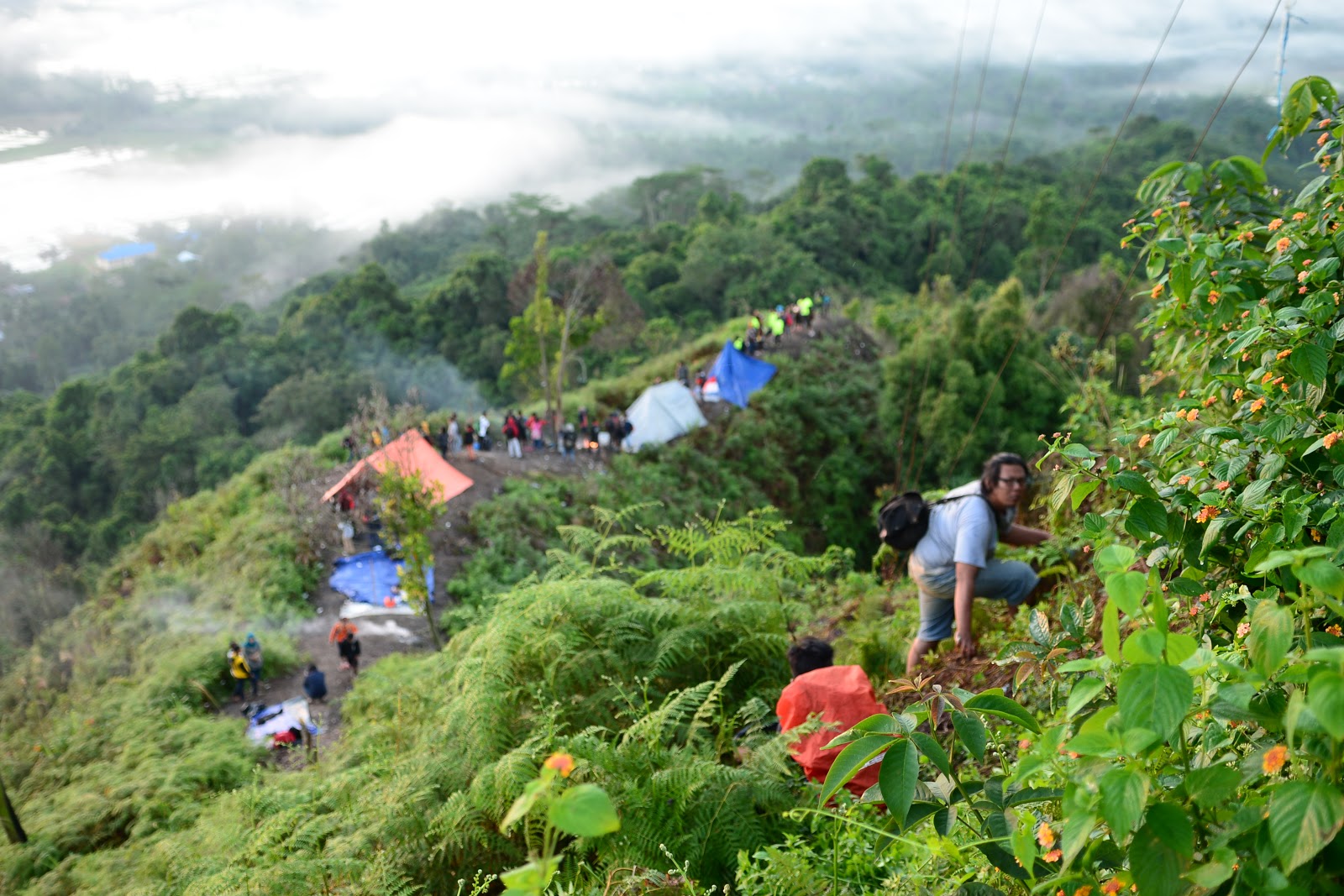Memungut Harapan di Puncak Bukit Biru
