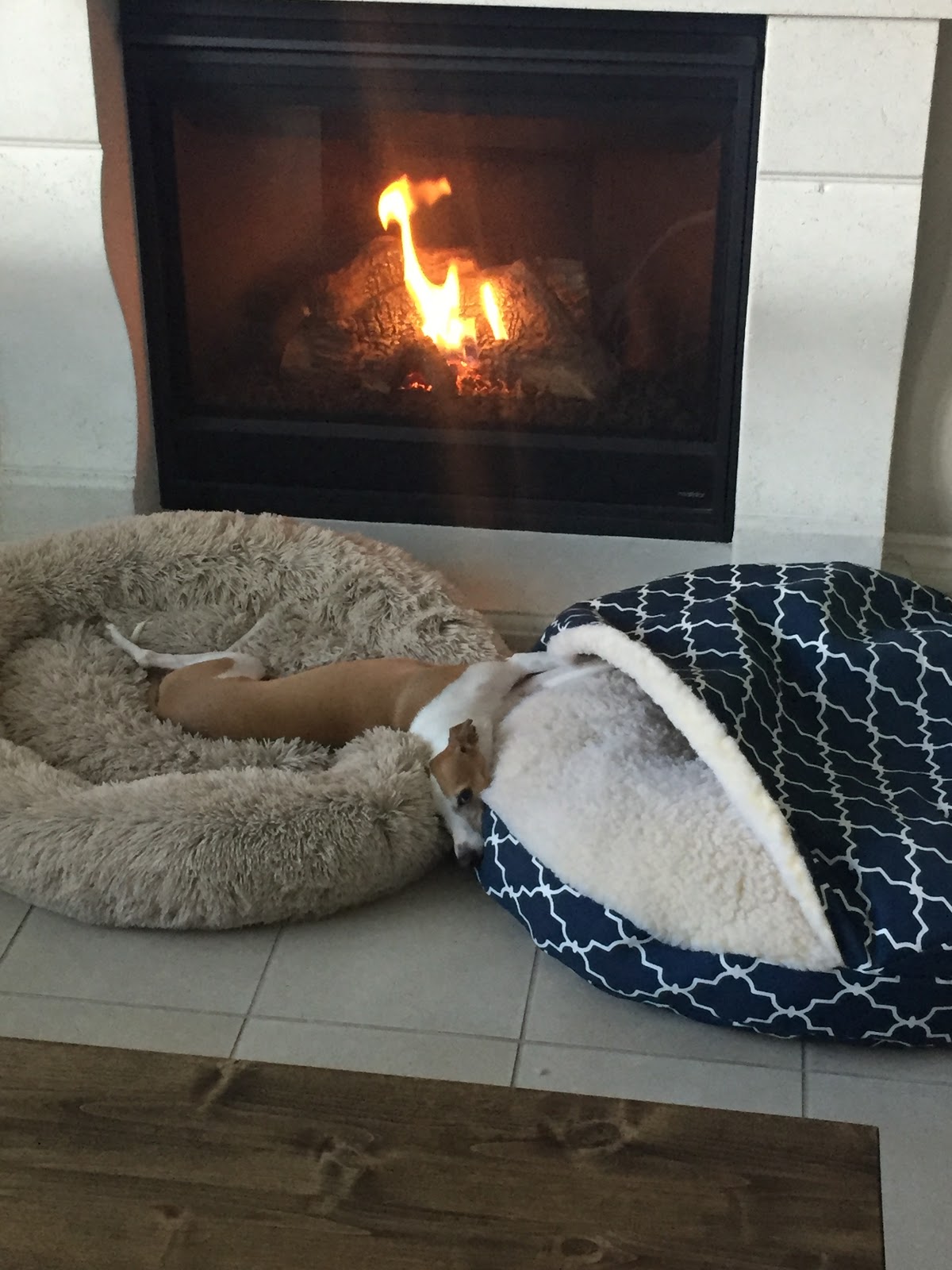 Kirk Van Sickle - My Running Blog