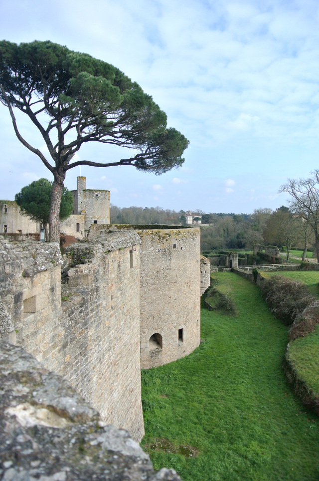 It's Not Serious!: Château de Clisson