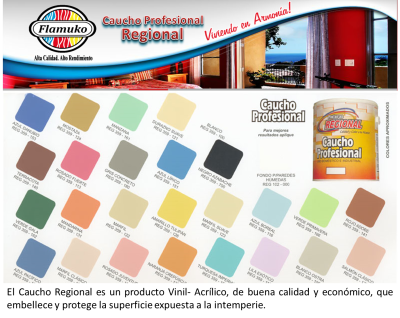 Inversiones Tecnicolor C.A.: Flamuko