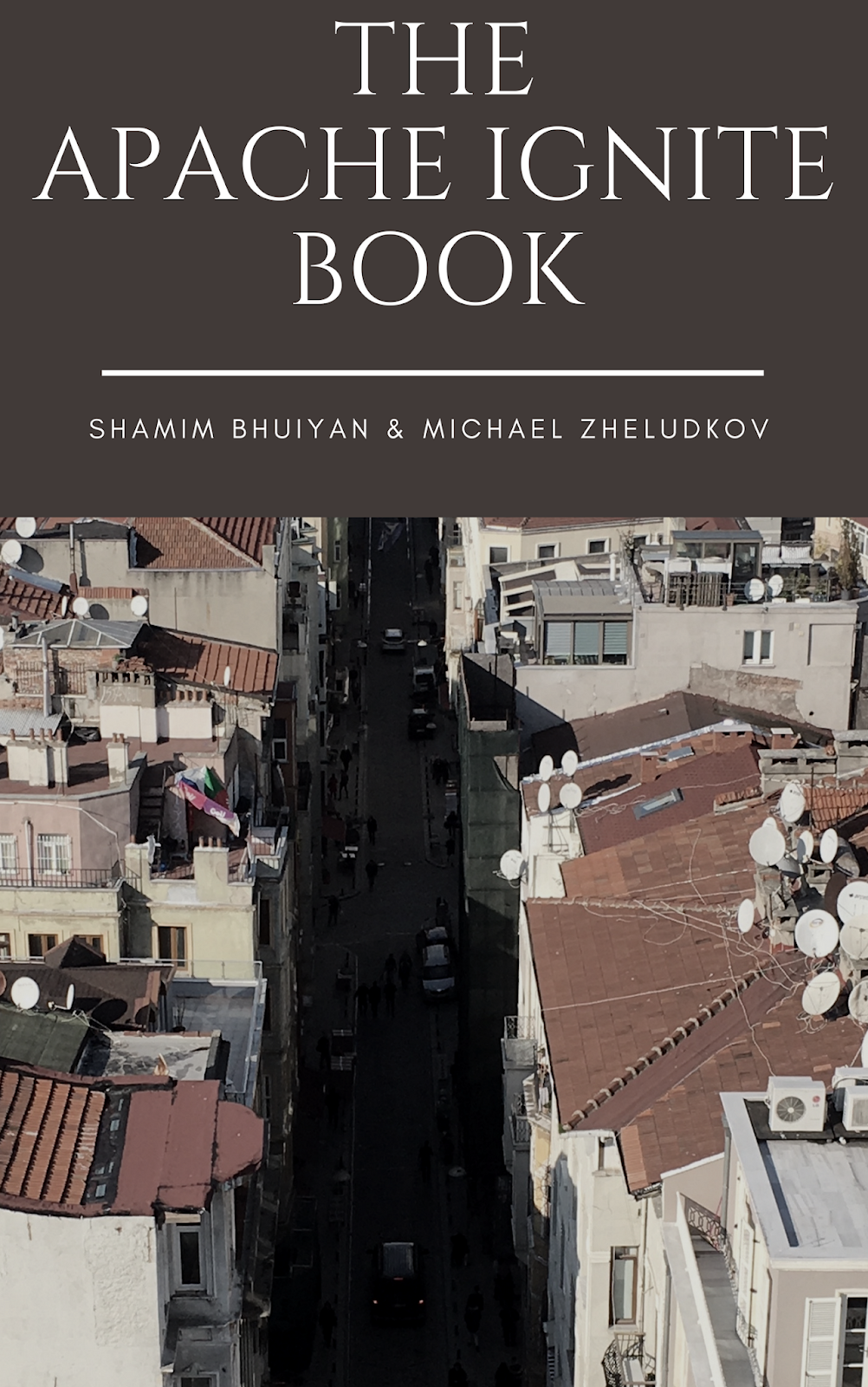 The Apache Ignite book