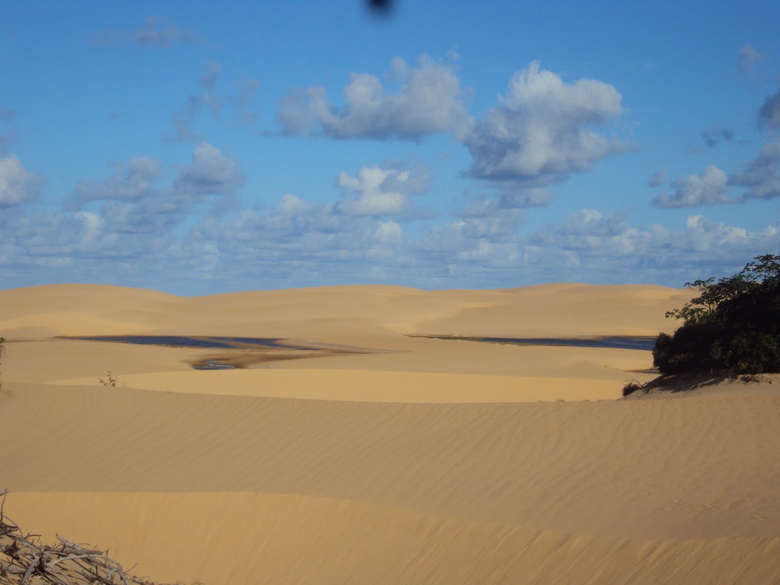 Blog da Cil Oliveira: Dicas de viagem: Alagoas - Dunas do Pontal do Peba