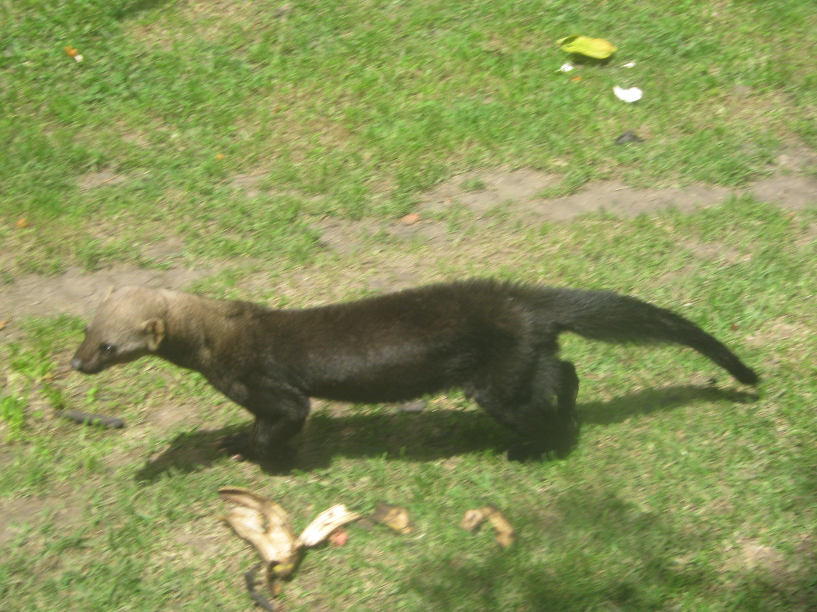 Jaime Duque :D: Historia Del Jaime Duque