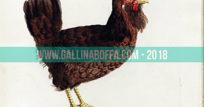 XVIII Secolo, una delle più antiche rappresentazioni della Boffa ~ La ...