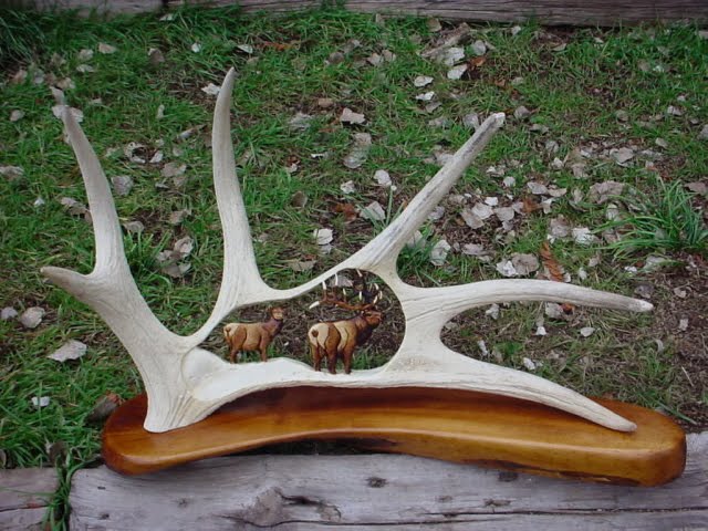 CALL OF THE WILD: Moose Horn Carvings
