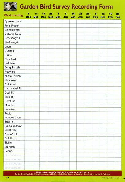 BirdWatch Ireland's Conservation Team blog: The Irish Garden Bird ...