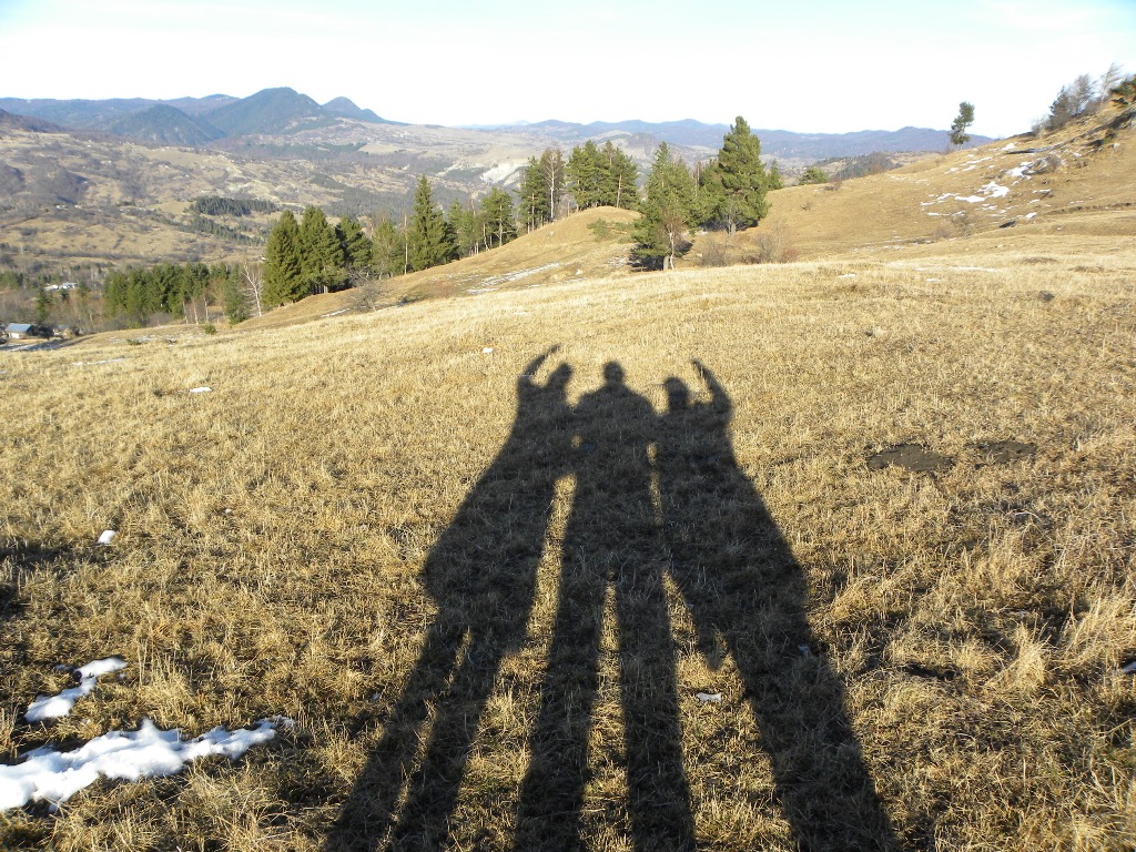 romquaker blog: Bisoca