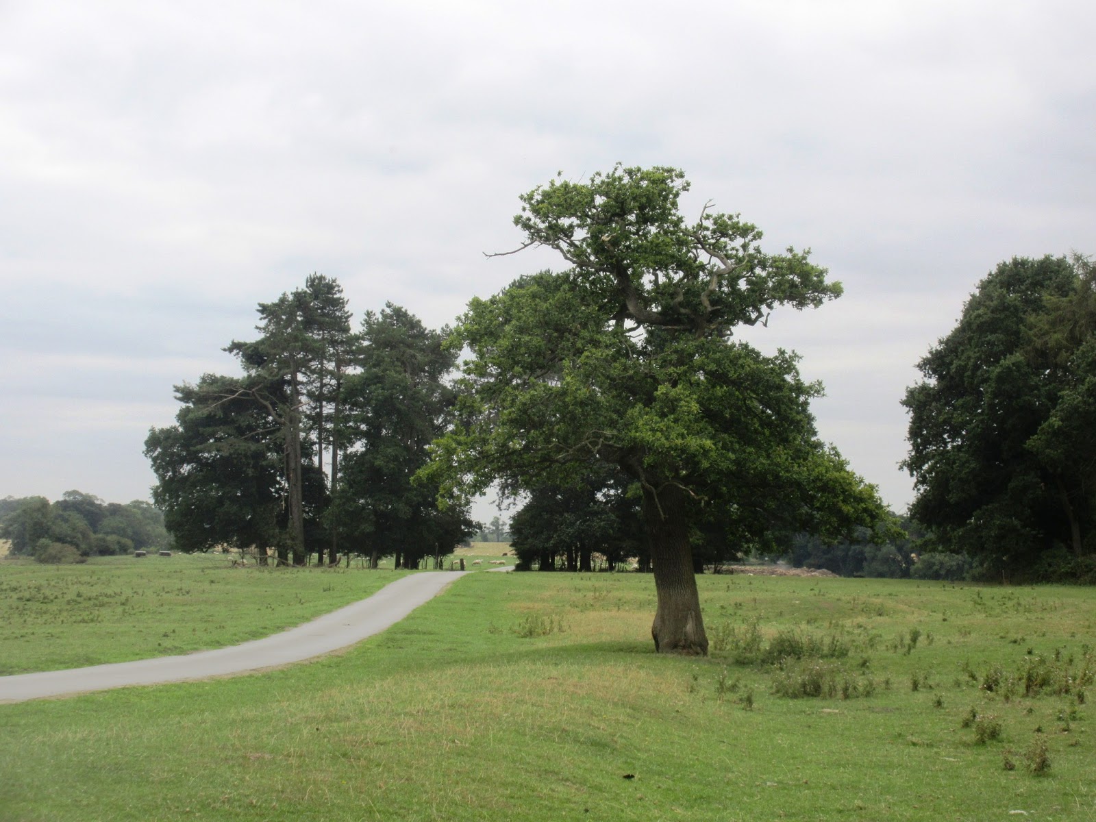 Liberal England: Remains of a medieval village and warren at Gumley