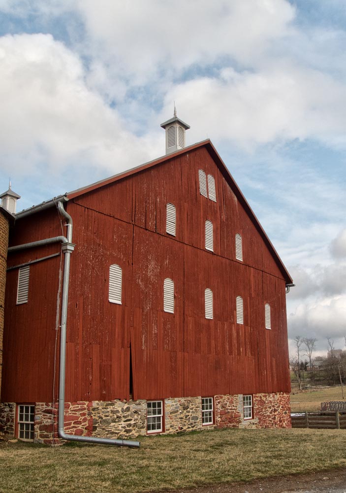 My Daily Photo Walk: Day 154 - The Trail at Thomas Farm