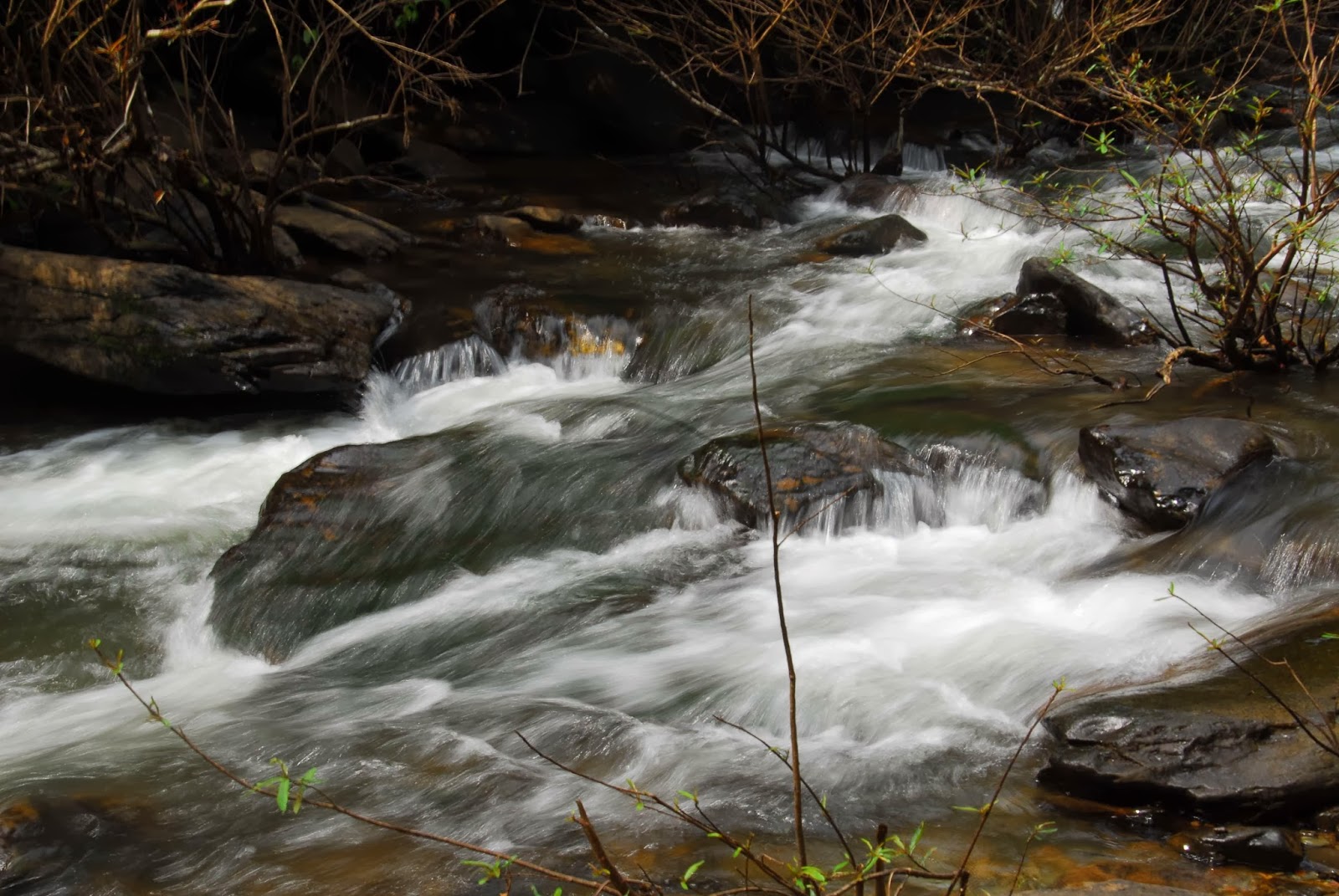 VISWANATH S: SEETHANADI-HEBRI-2013