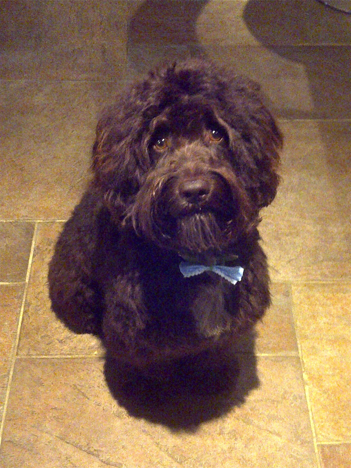 Jukee Doodles : Testimonials