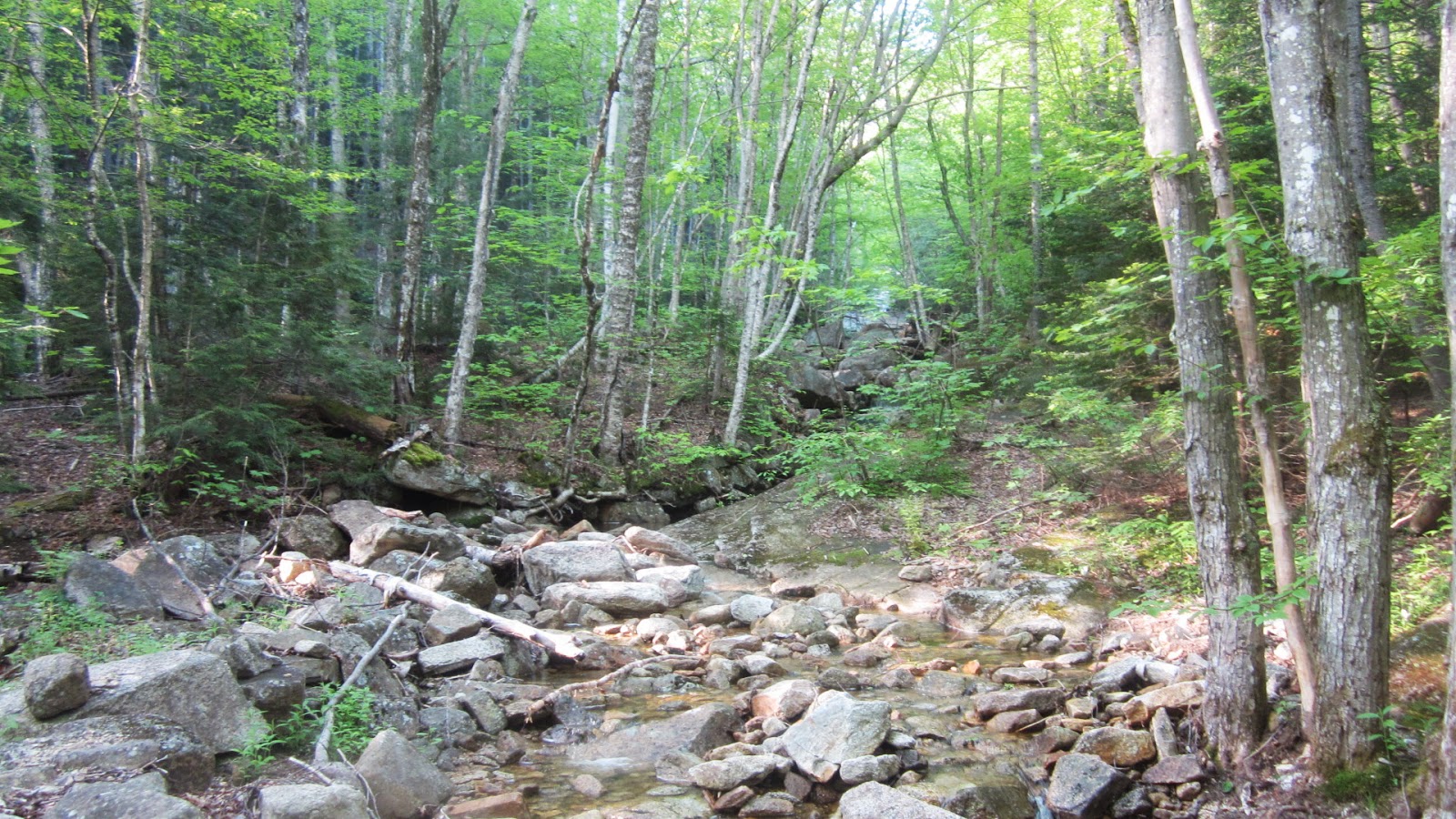 Adventures in New England: Up the Downes - Sandwich Range Loop