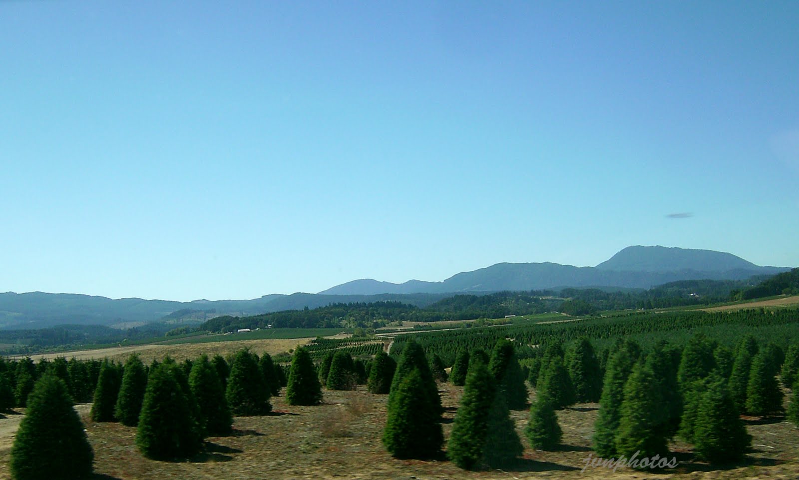 Photos by Jan: Kings Valley, Oregon Renaissance Fair