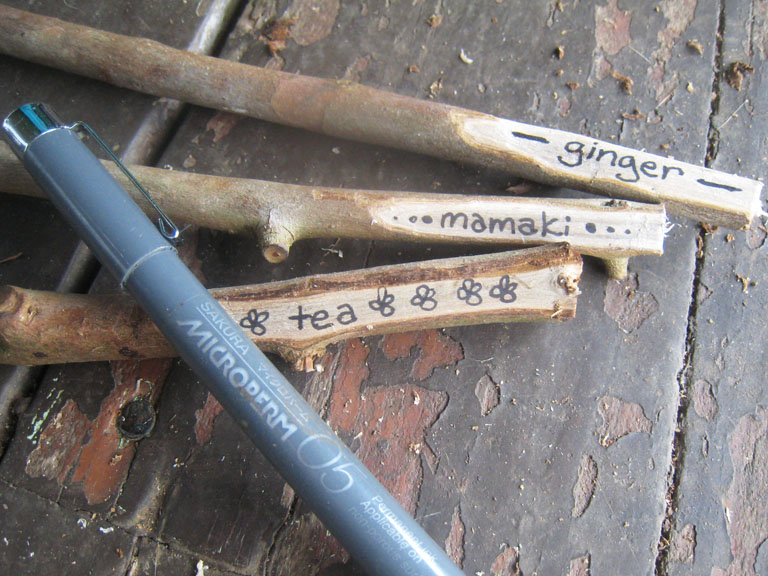 Tropical Homestead: DIY Simple Plant Markers