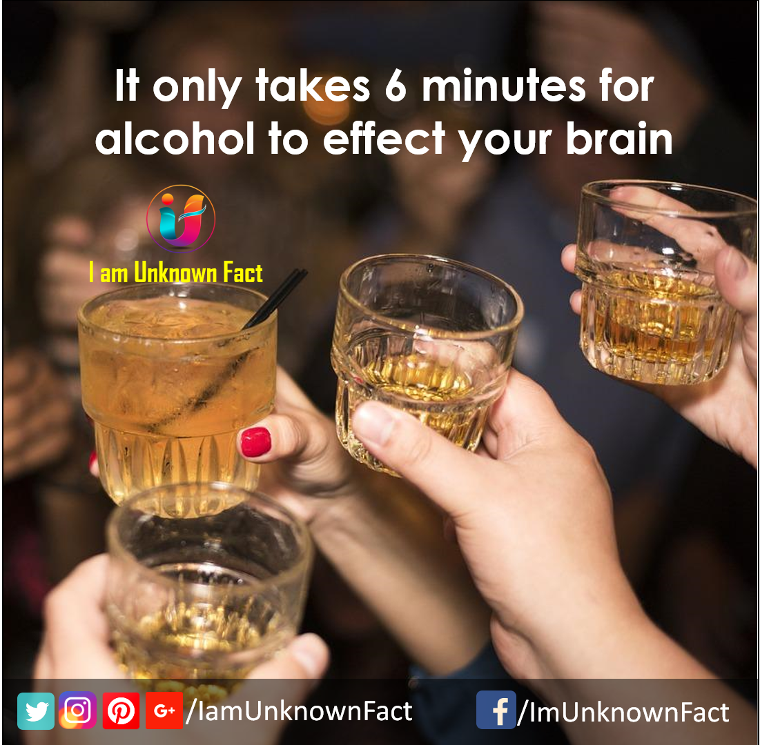 10 Alcohol facts you may not know