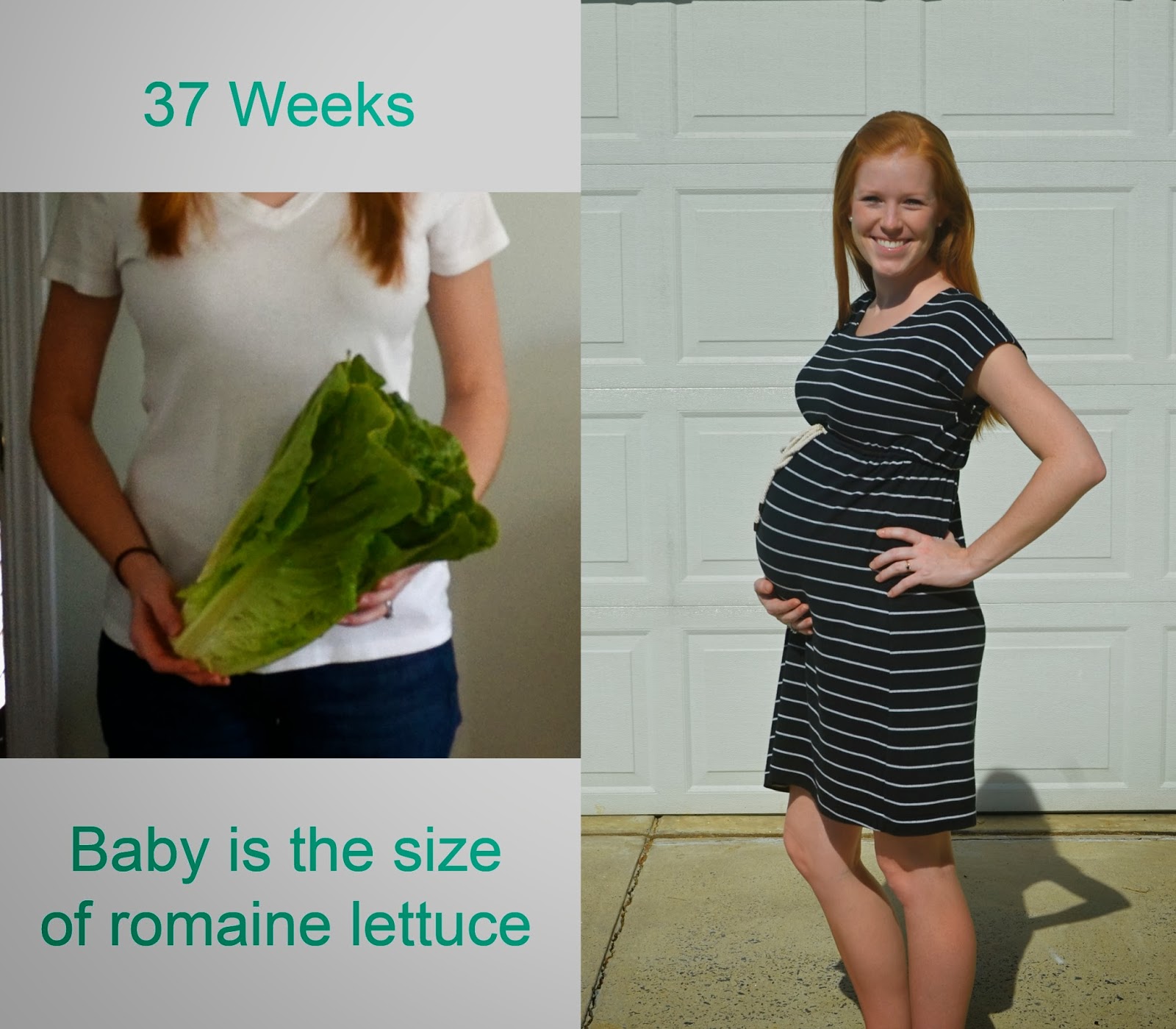 Love Like Crazy: 37 Weeks