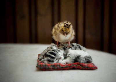 Awkward Friendships: C'mon. Wake up