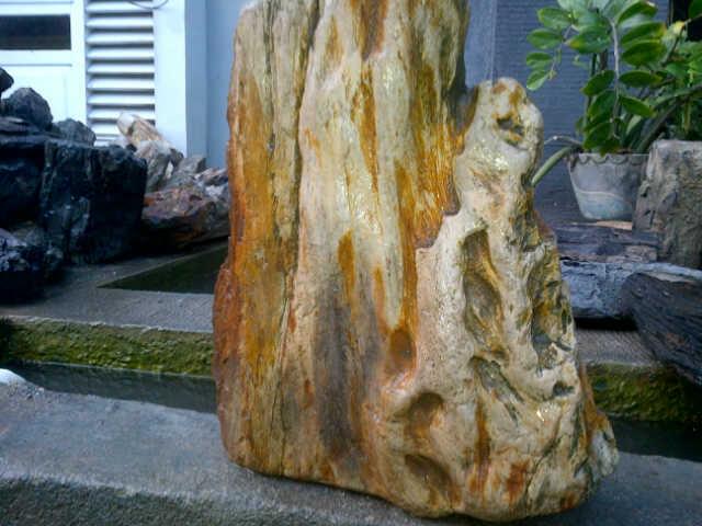 Museum Fosil Kayu Indonesia: FOSIL KAYU "UKURAN BESAR"