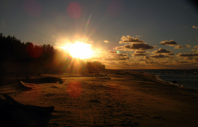 Jūra tur kur Gauja ietek... - Mammas Rokas