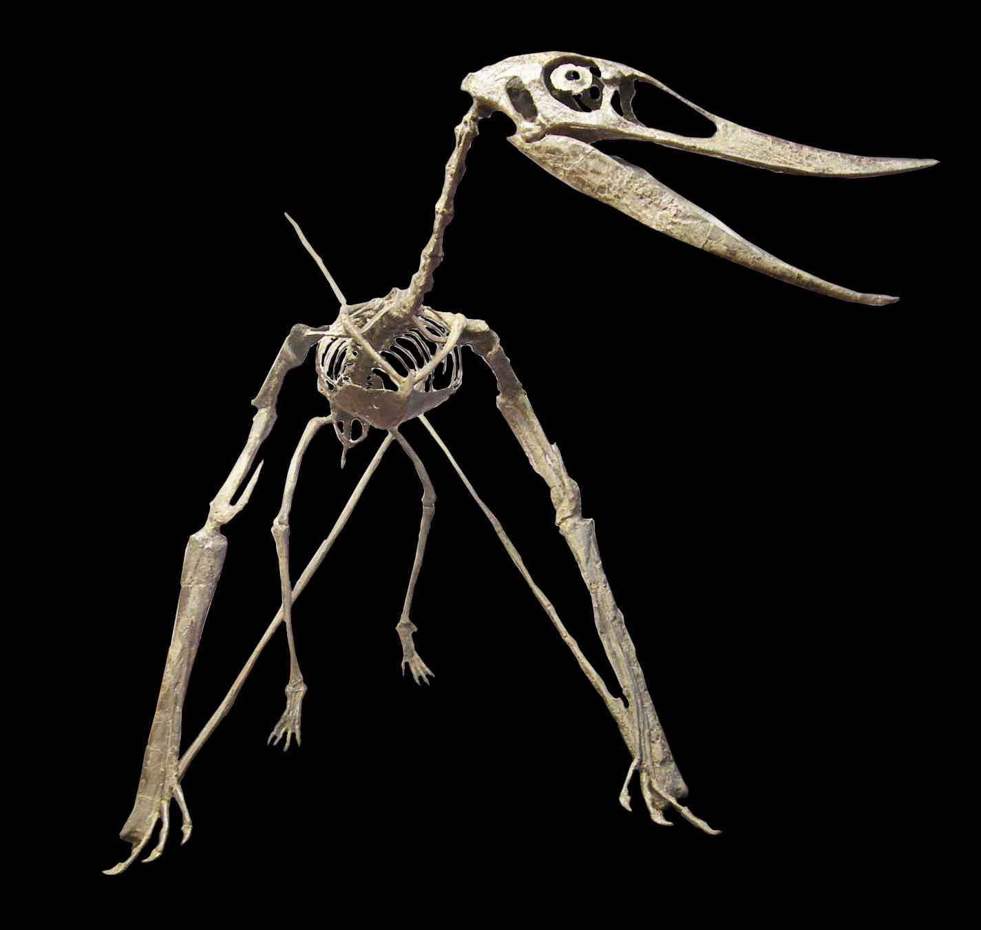 The Expeditioner's Discovery Guild: A little bit of Everything: Museums ...