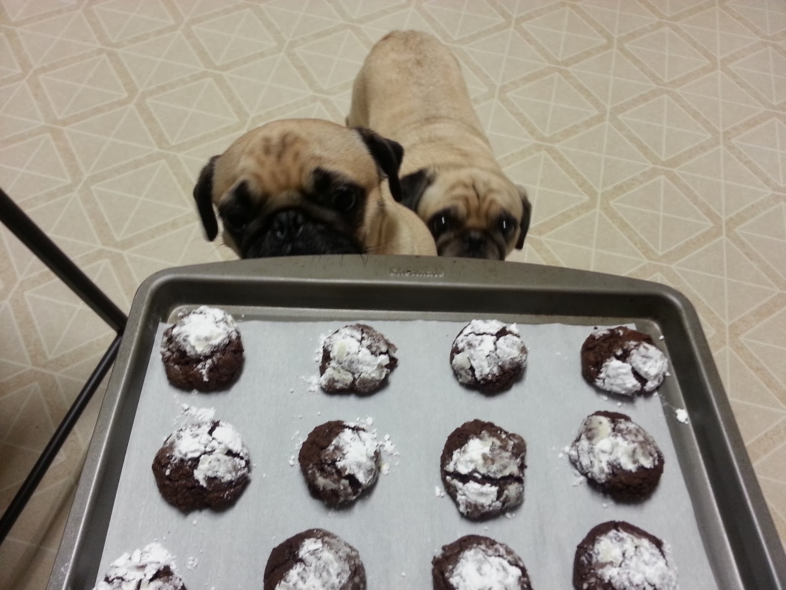 Grubbin' Pugs: Dark Chocolate Cookies (No Butter or Flour)
