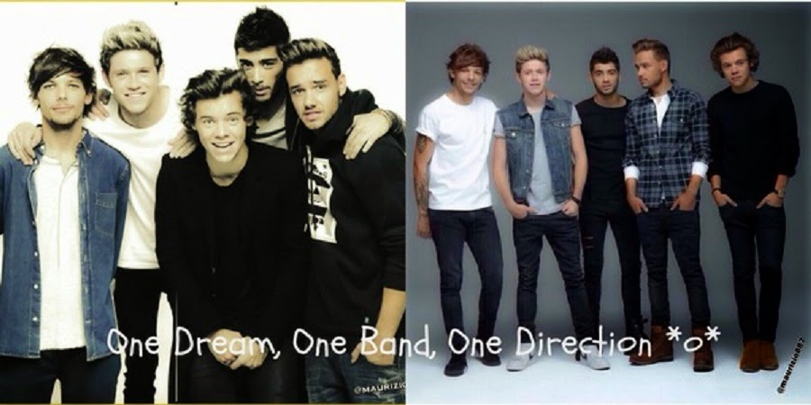 One Dream, One Band, One Direction *o*: Och... Dokładnie
