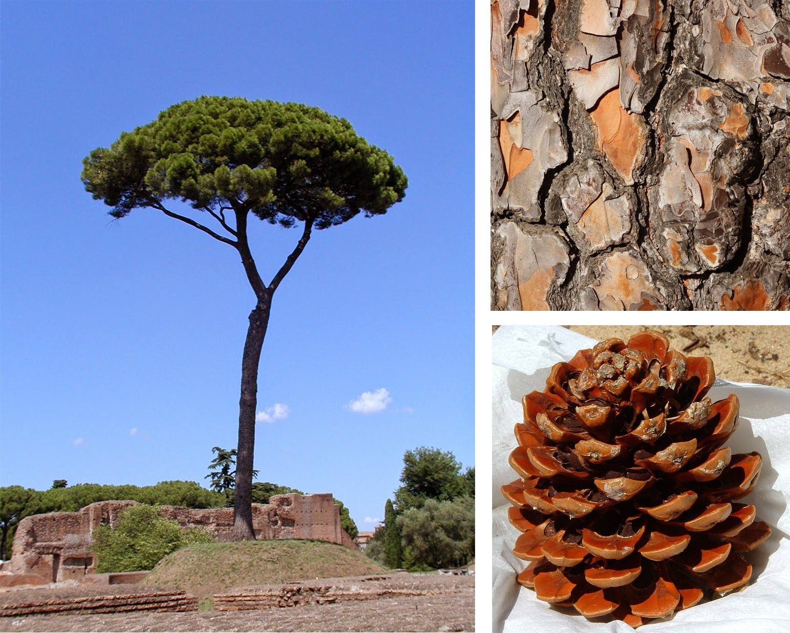 PlantArte en tu Oasis. Paisajismo y naturaleza para todos.: Visitando ...
