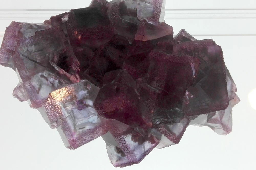 Colección Pfersich Merki, Torrelavega, Cantabria MTI Blog