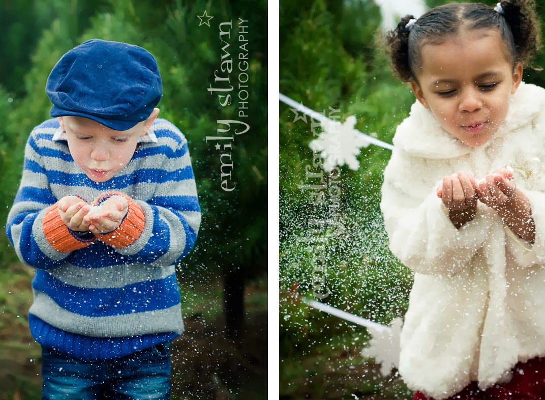 Emily Strawn Photography